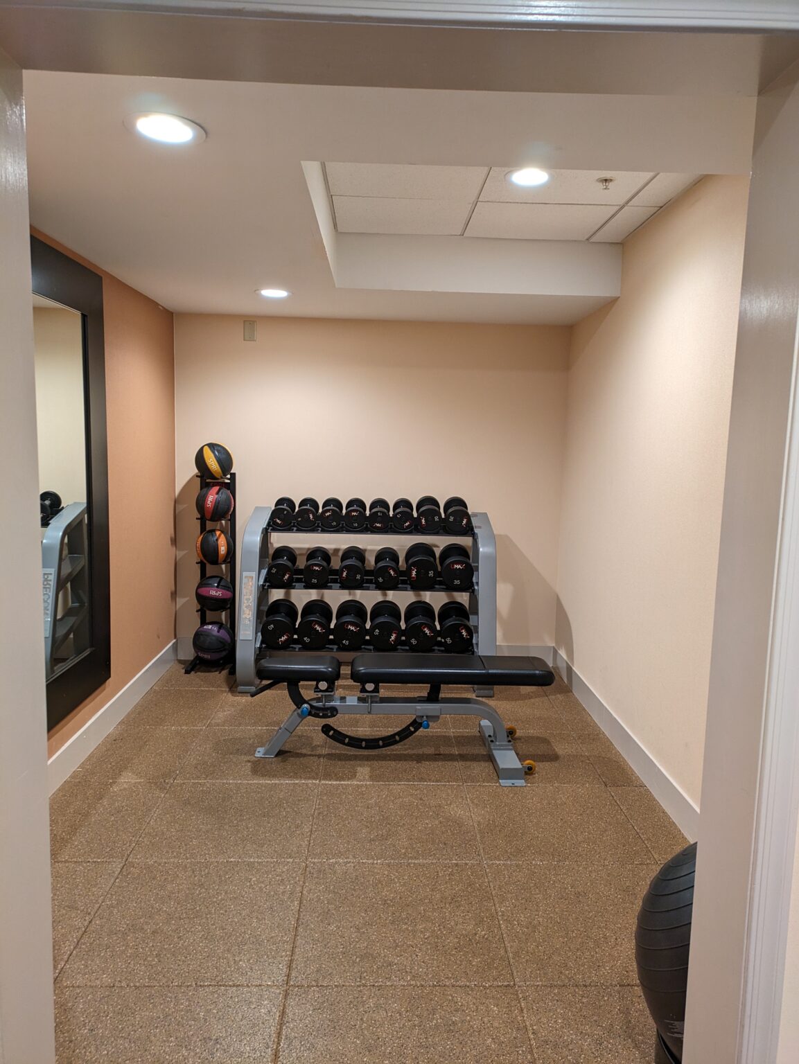 Review of Peloton Gym App Feature in Three Fitness Environments